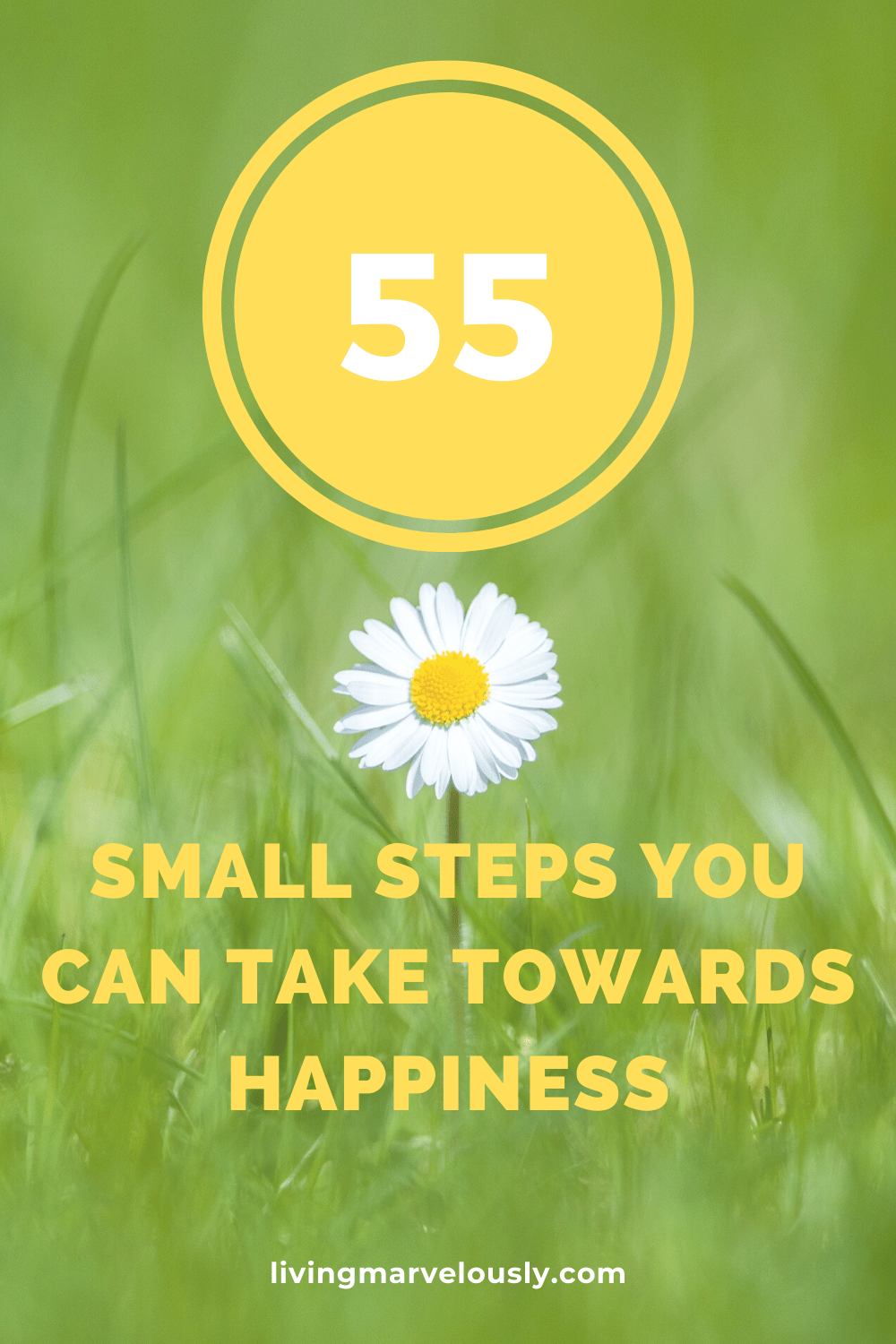 55 Small Steps Toward Happiness - Living Marvelously